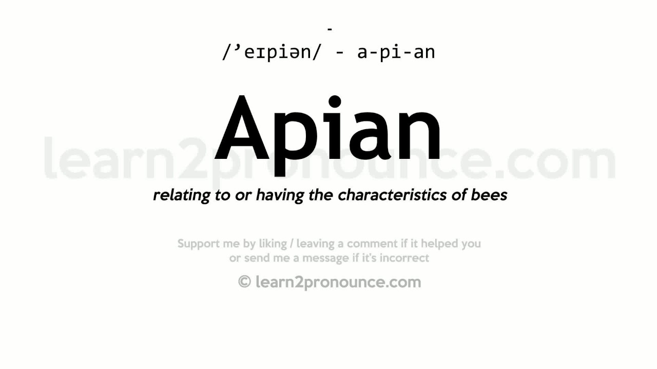 Pronunciation of Apian | Definition of Apian - YouTube