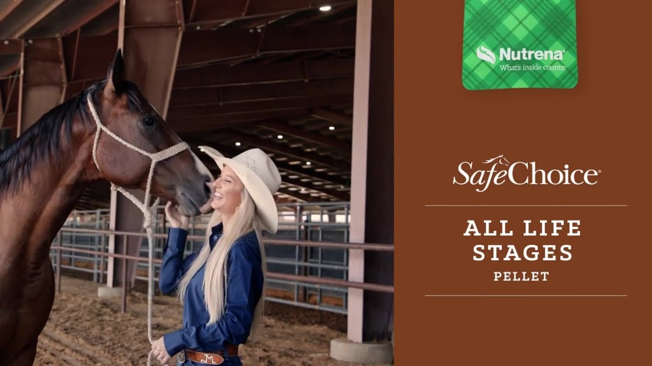 Nutrena SafeChoice All Life Stages - YouTube