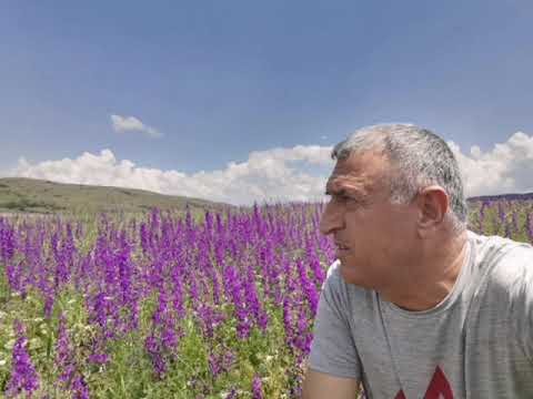 Erzincan girlevik şelalesi 22.06.2019