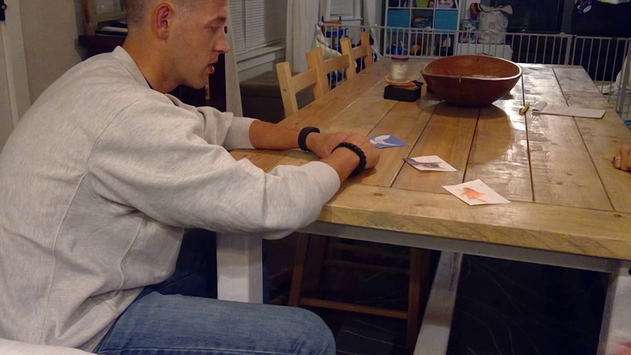 partial physical prompt "show me bird" - YouTube