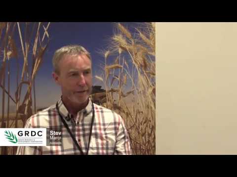 Blackleg CM a new pest App to help reduce blackleg & increase profits ...