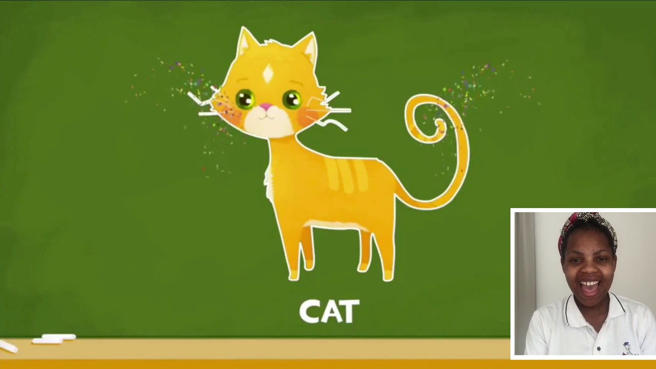 Pam Animal guessing game29 05 - YouTube