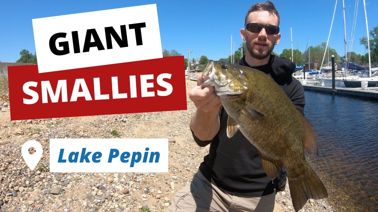 Shore Fishing Lake Pepin with Swim baits | Huge Smallmouth Bass + BONUS ...