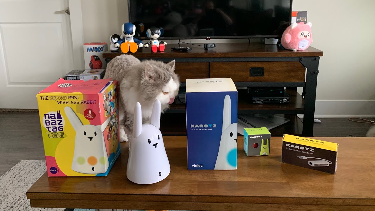Jibo and Friends - Karotz Unboxing (Rascally Rabbit) - YouTube