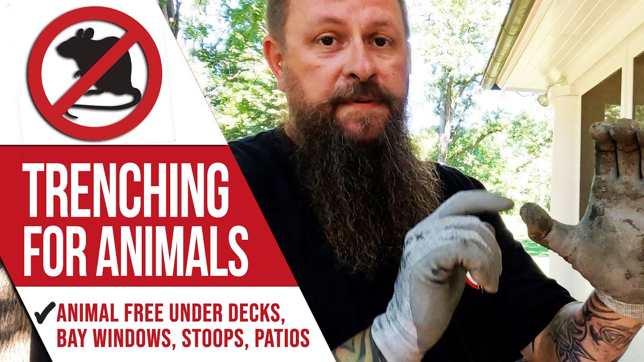 How To Properly Animal Proof Your Deck, Patio or Bay Window or Stoop ...