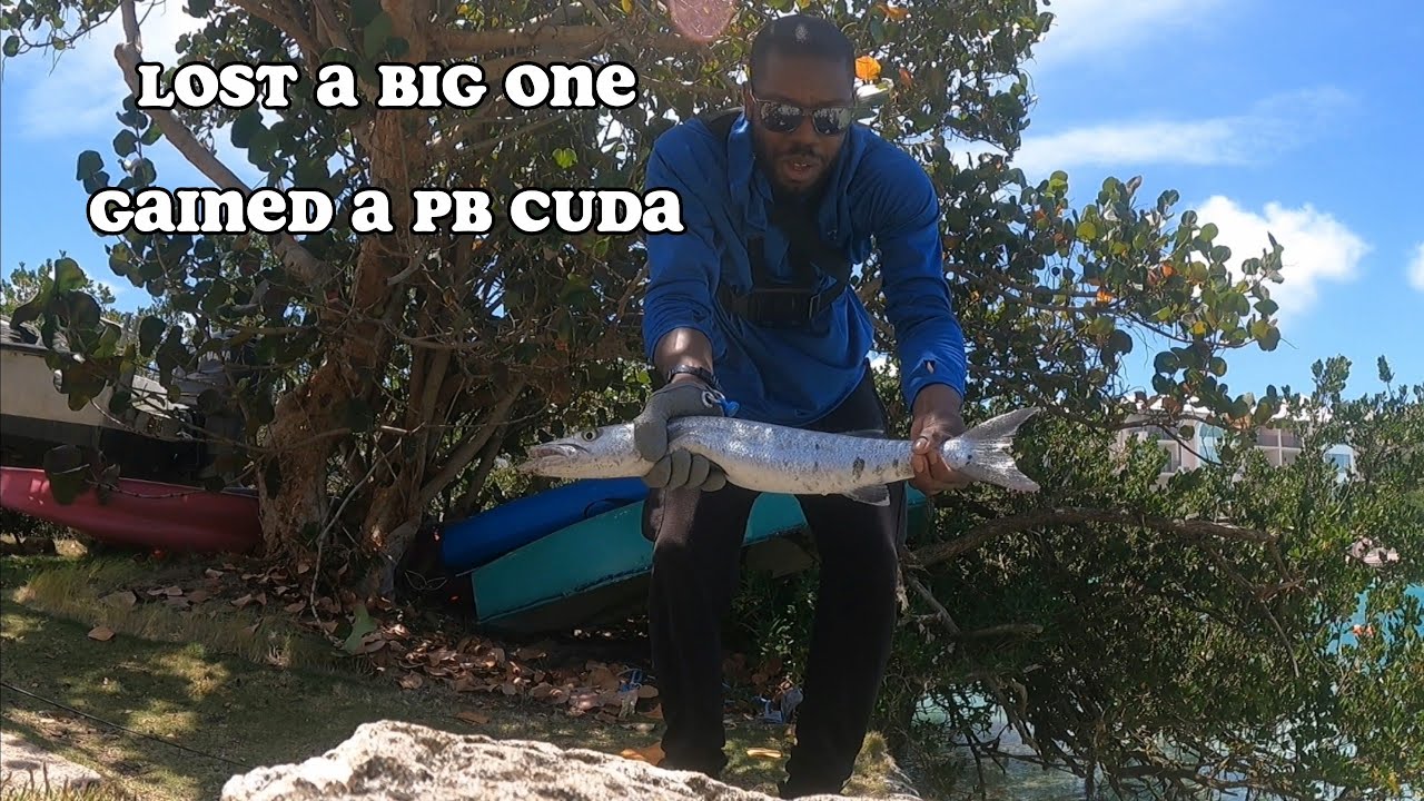 lost a big one and PB barracuda | LURE FISHING BERMUDA - YouTube