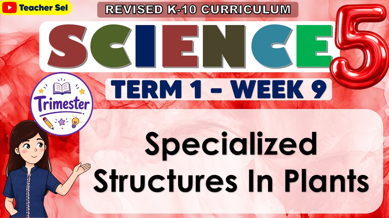 Science 5 Quarter 2 Week 7 Revised K-12 Specialized Structures In ...