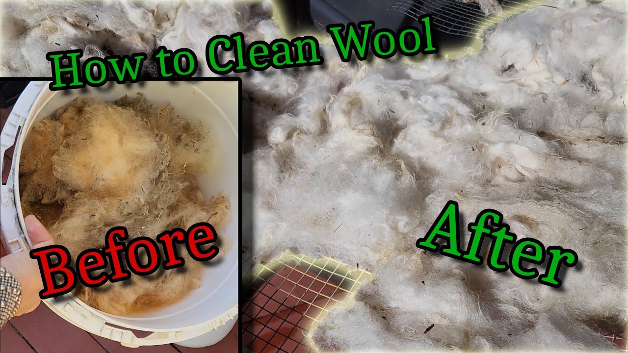 How to take dirty wool to beautiful yarn: Scouring/Cleaning - YouTube
