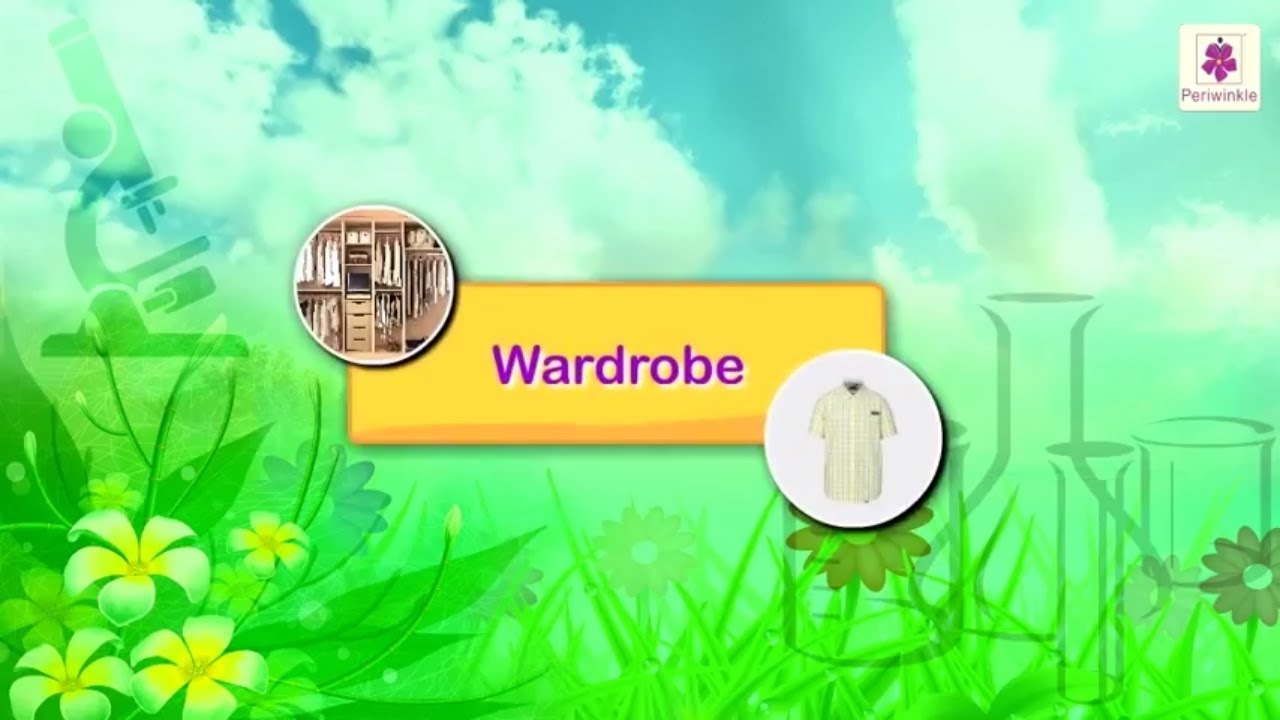Wardrobe | Science Grade 3 | Periwinkle - YouTube