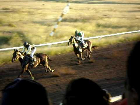 horse racing in nevis 1 - YouTube