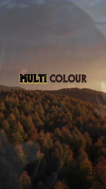 Text Editor Multi Colour Text Trending Video Growth Editing Edit Creative Skills