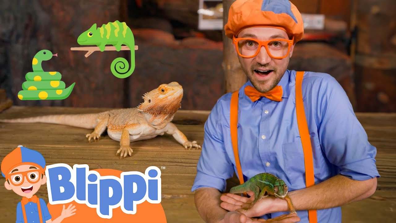 Blippi Pets a Chameleon! | Blippi | Moonbug Kids - Fun Zone - YouTube