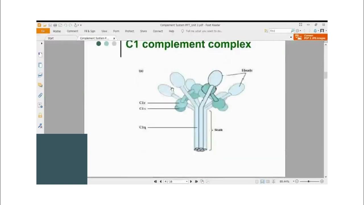 Immunology Lecture Series -29_ Complement System - YouTube