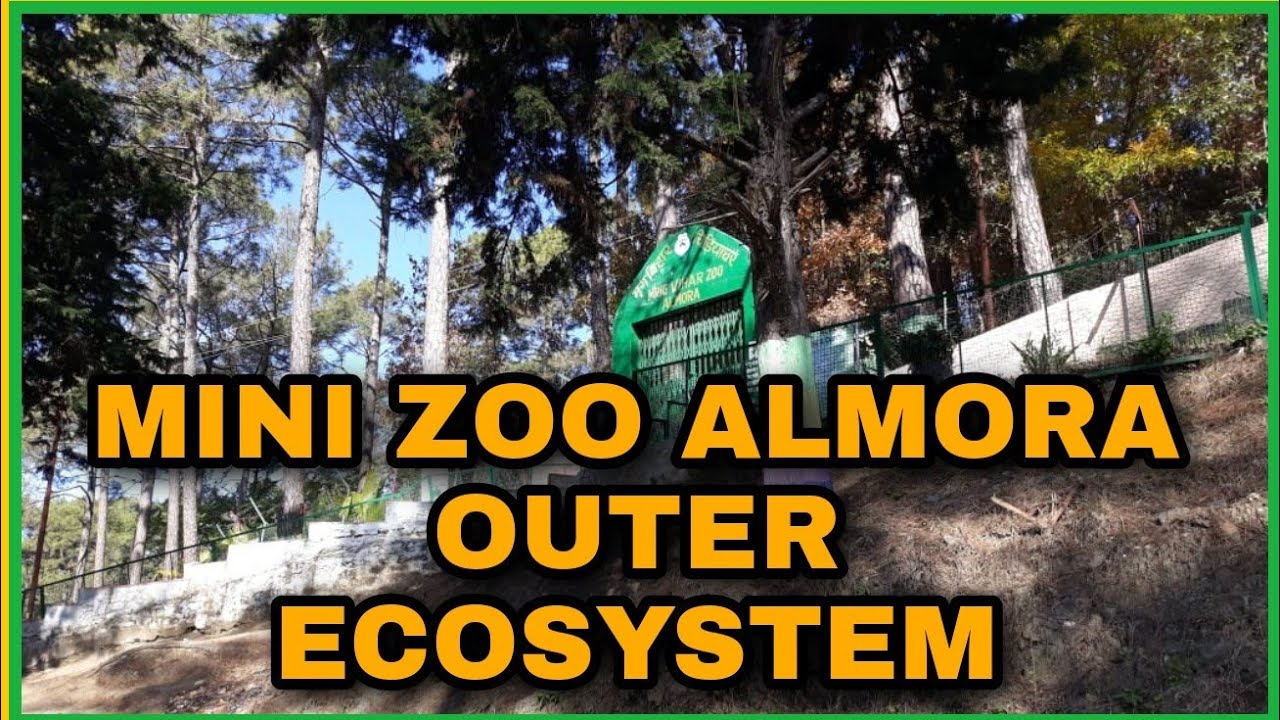 ZOO. ALMORA. ECOSYSTEM - YouTube