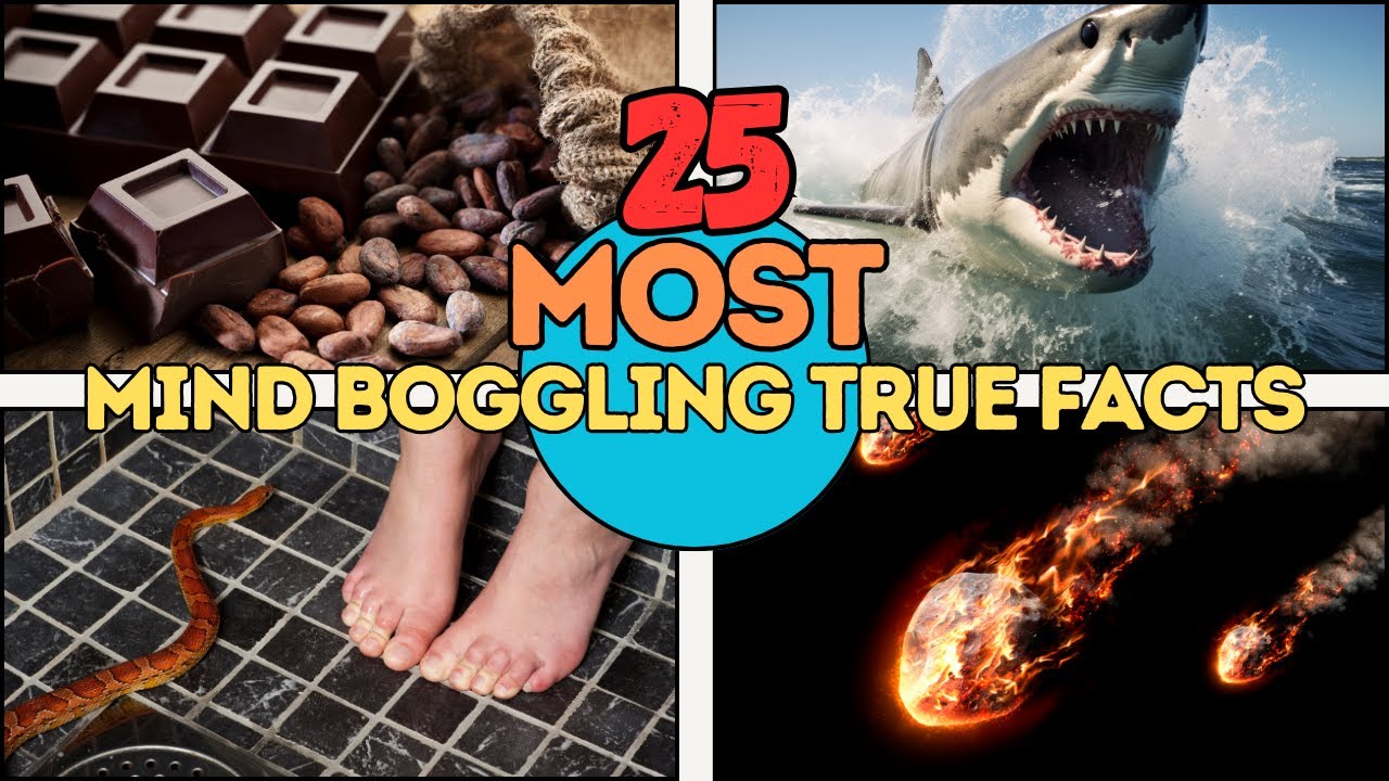 The 25 MOST Bizarre & Quirky Truths. Random Facts That Will Blow Your ...