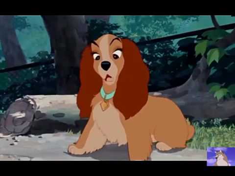 ERB of Animash #2 Lady vs Angel - YouTube