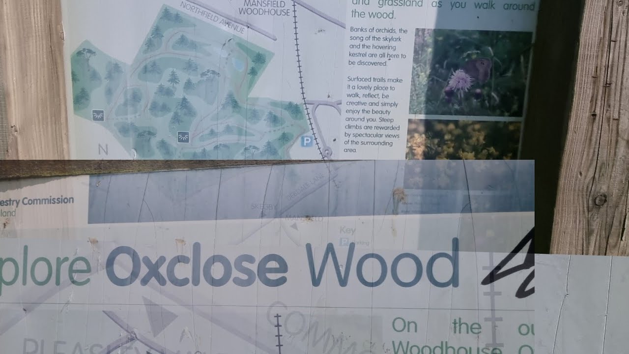 Oxclose Wood, Mansfield || PinayNene life in UK - YouTube