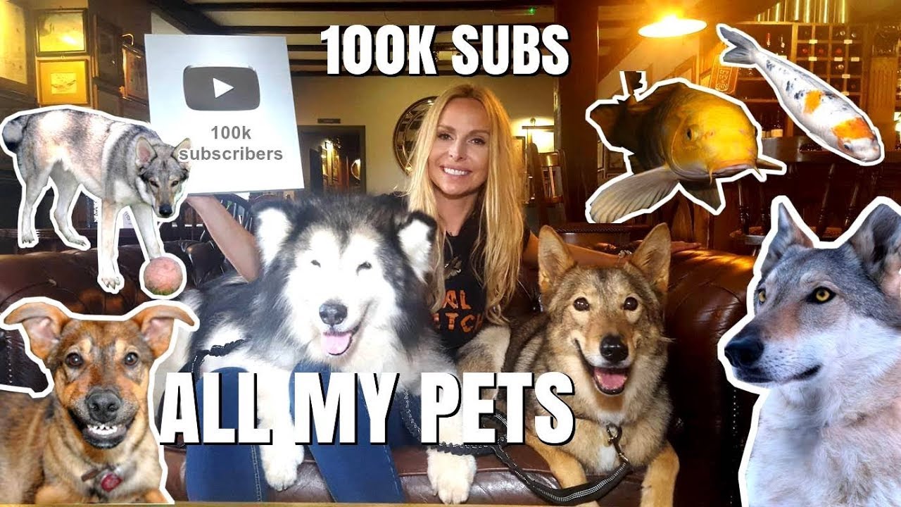 ALL MY PETS IN ONE VIDEO - 100K SILVER PLAY BUTTON AWARD UNWRAPPING ...