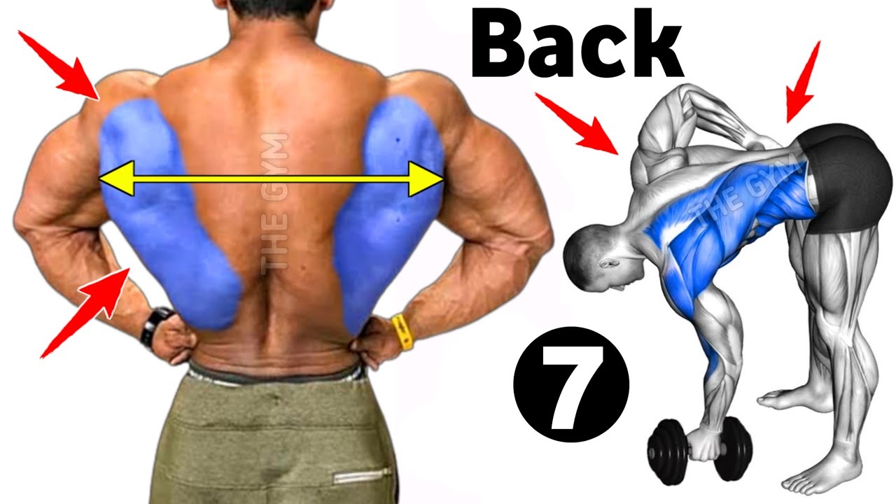 7 Wide Back Workout At Gym - Back Workout - YouTube