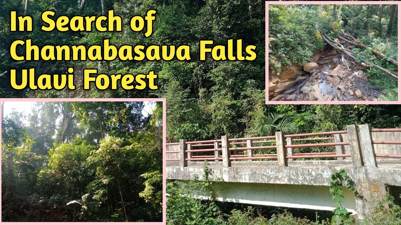 In Search of Channabasava Falls @ Ulavi | Hidden Falls, Lush Green ...