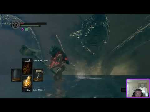 Dark Souls SL1 NG7 Darkroot Basin Hydra - YouTube