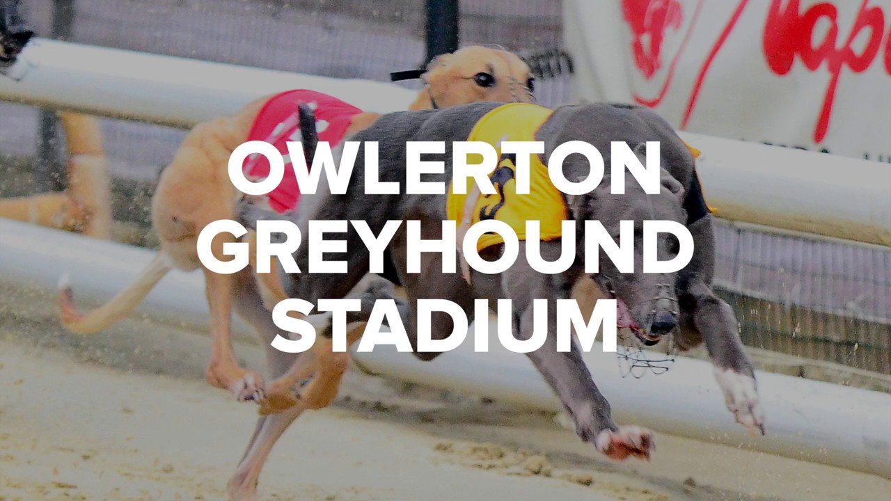 Owlerton Greyhound Stadium - Sheffield's Top Night - YouTube
