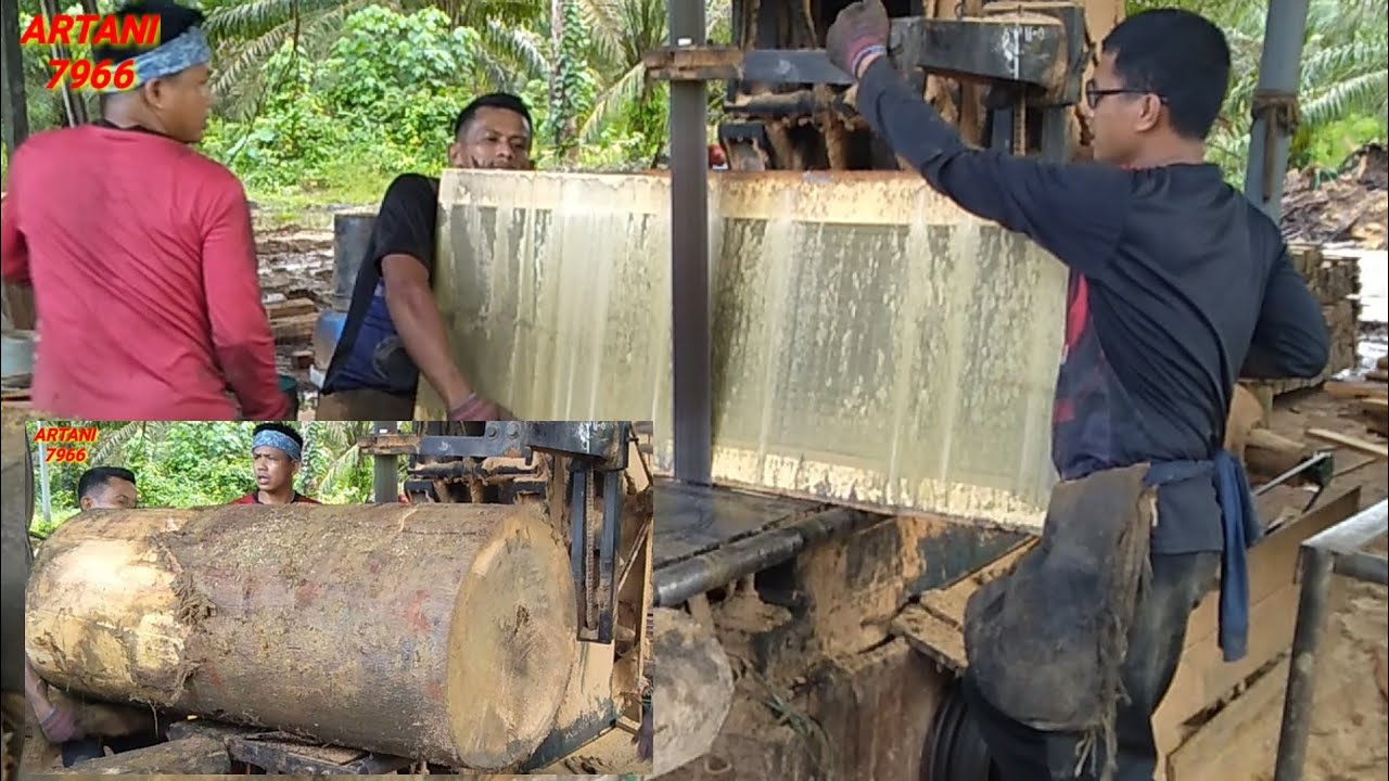 SAWMILL WOOD!! INI KAYU MEMANG CANTIK TAPI SYG BERAT BETUL INI KAYU ...