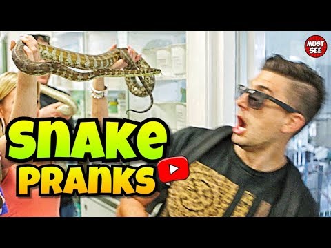 Funny Snake Pranks - 2019!