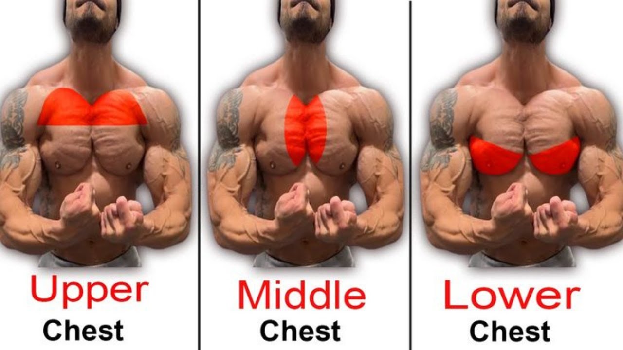 chest workout routine makes chest grow fast - times a month - YouTube