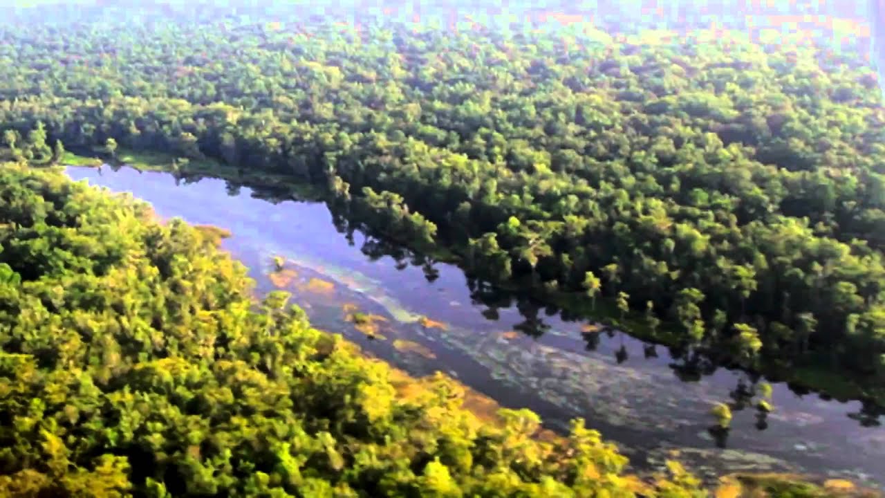 Visit Wakulla Spot #4 The Many Rivers of Wakulla HD 1920x1080 - YouTube