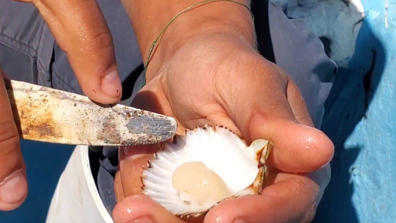 así está y así sabe la Catarina - YouTube