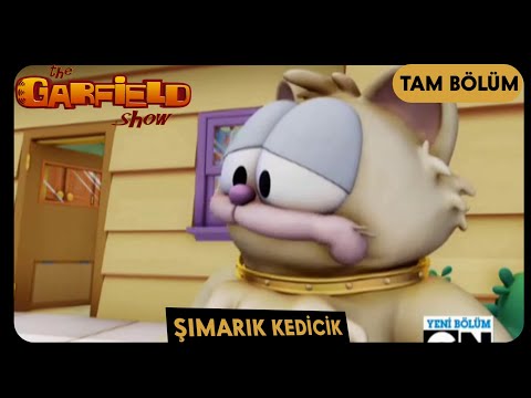 Garfield | 2.Sezon 47.Bölüm | Şımarık Kedicik | TAM BÖLÜM