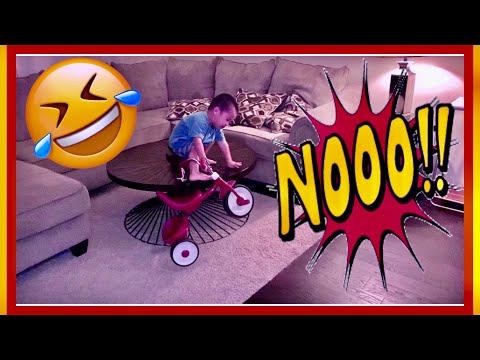 The challenge of pulling Wynn’ bike to the coffee table