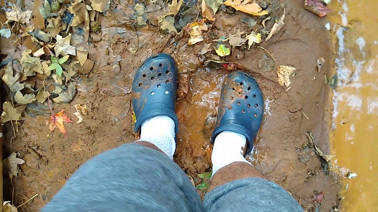 Crocs in Some Mud - YouTube