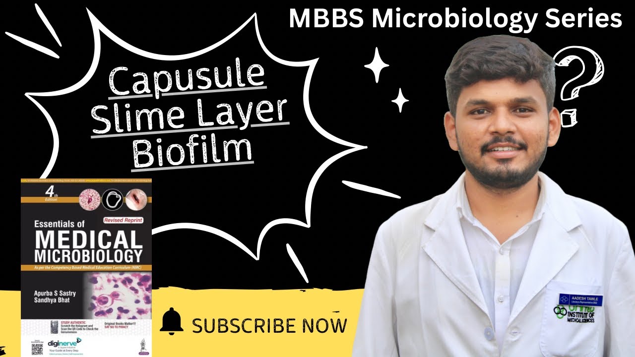 Capsule, Slime Layer & Biofilm | Bacterial Surface Structures ...