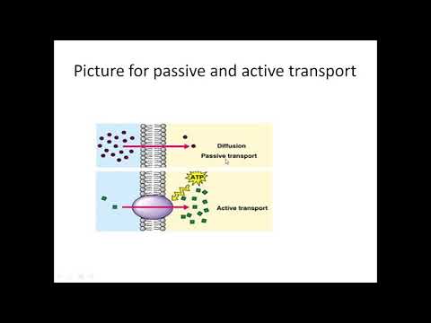 Transportation part 1 - YouTube