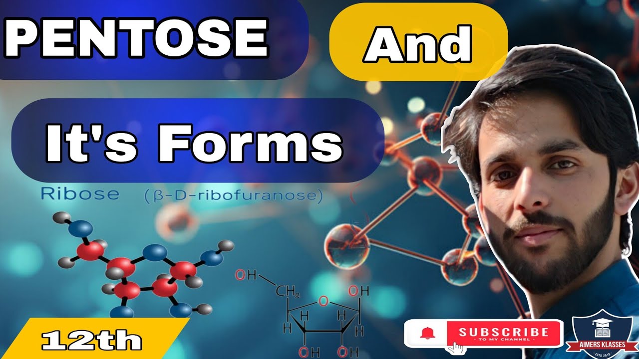 PENTOSES || structure of Ribose and Ribulose || #biomolecule #biology # ...