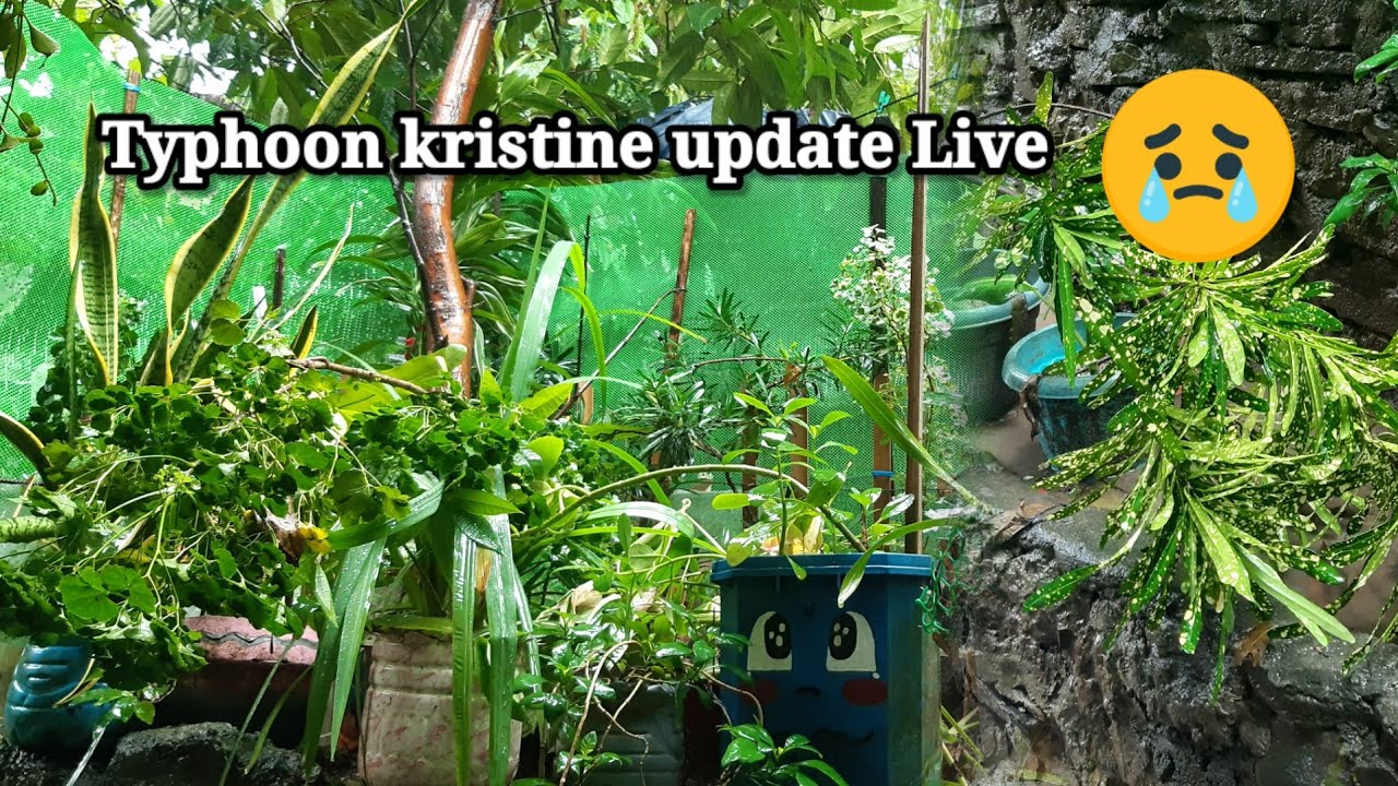 Typhoon Kristine Update Live | Jin Sai Tv - YouTube