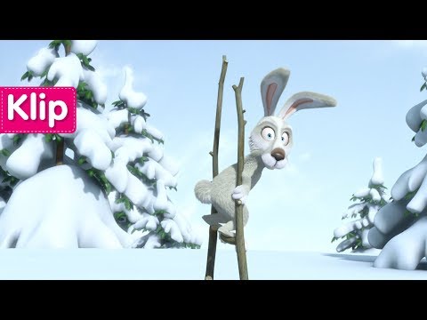 Maşa İle Koca Ayı - Bilinmeyen Hayvanların İzleri 🐺 (Bu bir kurt mu?)