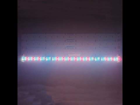 LM301H EVO Mint White 3000K 5000K mix OSRAM 660nm 730nm and Seoul UV 385nm Led Grow Board