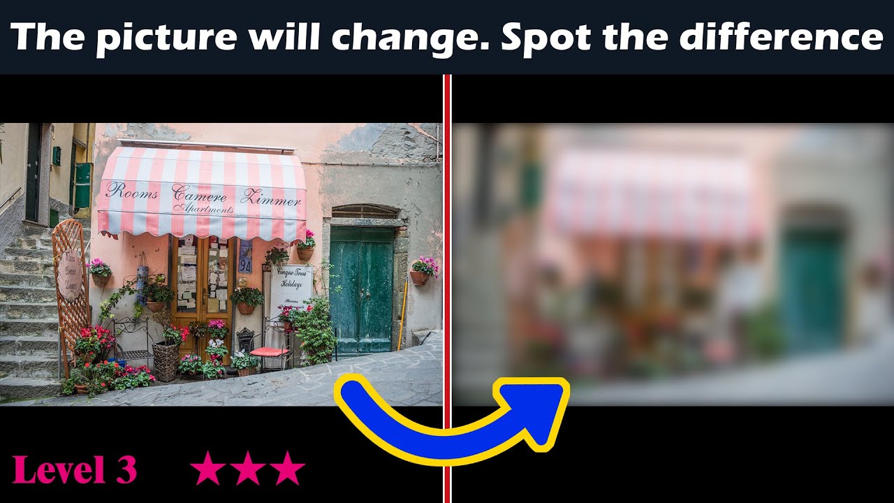 Spot the changing difference #210 | Pictures Puzzle | The photo will ...