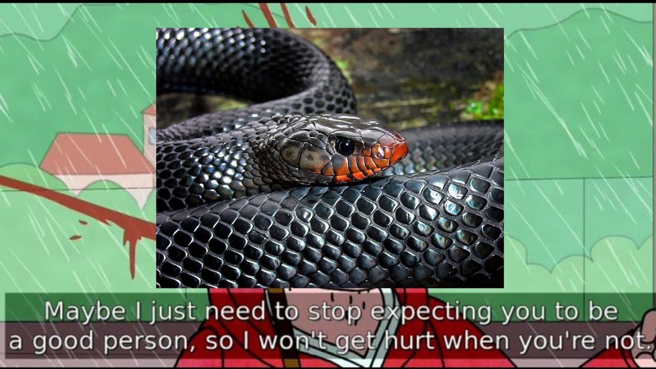 Thanks btw for never calling me out by name an ruining my life..its ...