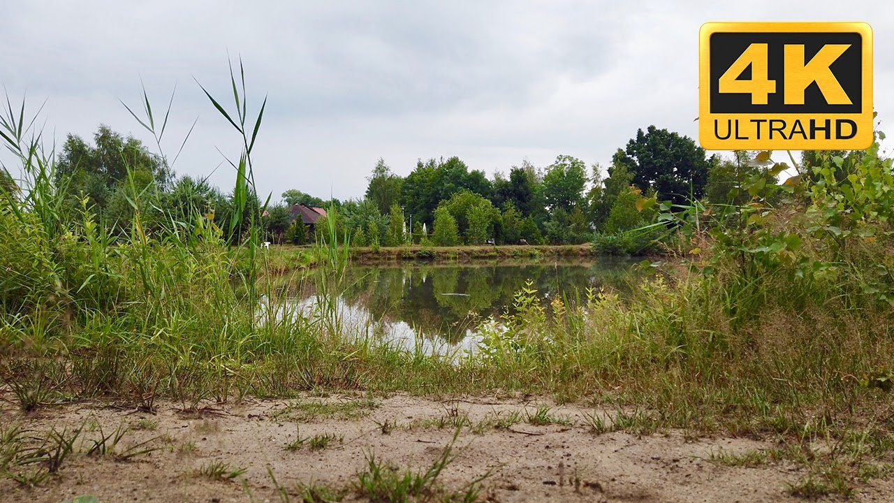 Calm pond near Gubin, Poland - great for fishing (4K) HDR - YouTube