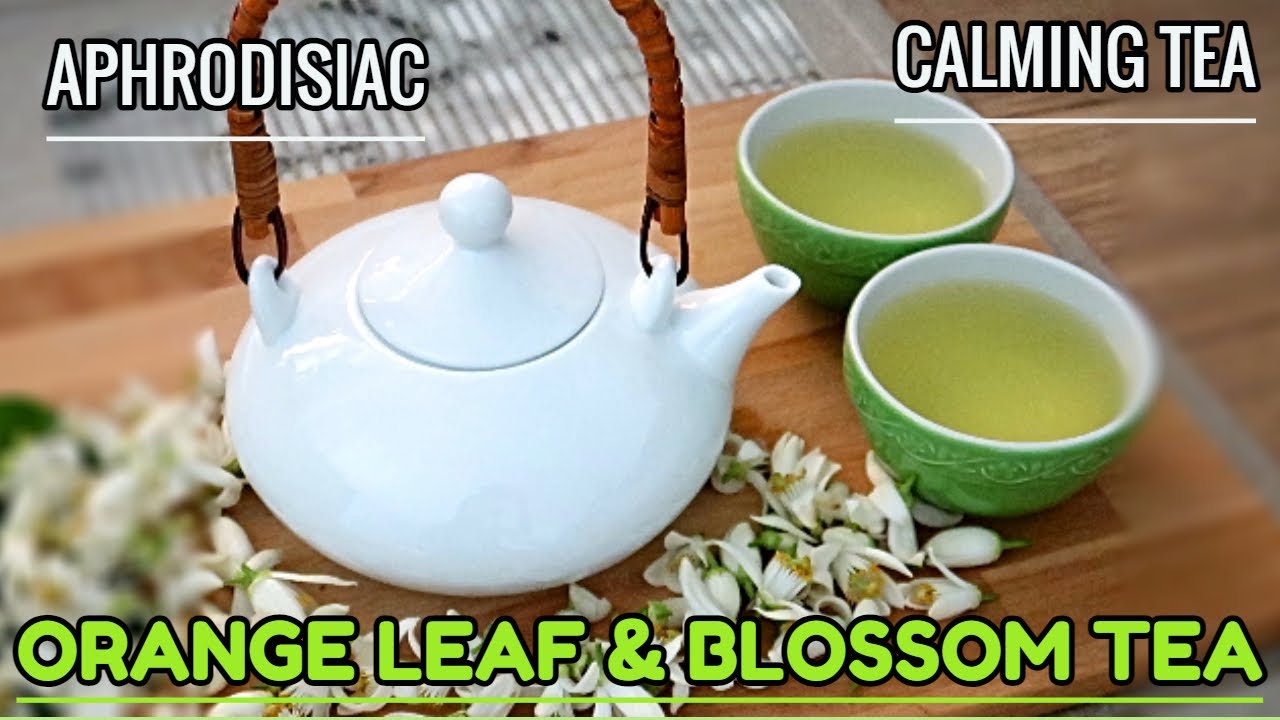 Intimacy Tea ! How to Make ORANGE LEAF & BLOSSOM HERBAL TEA + Health ...