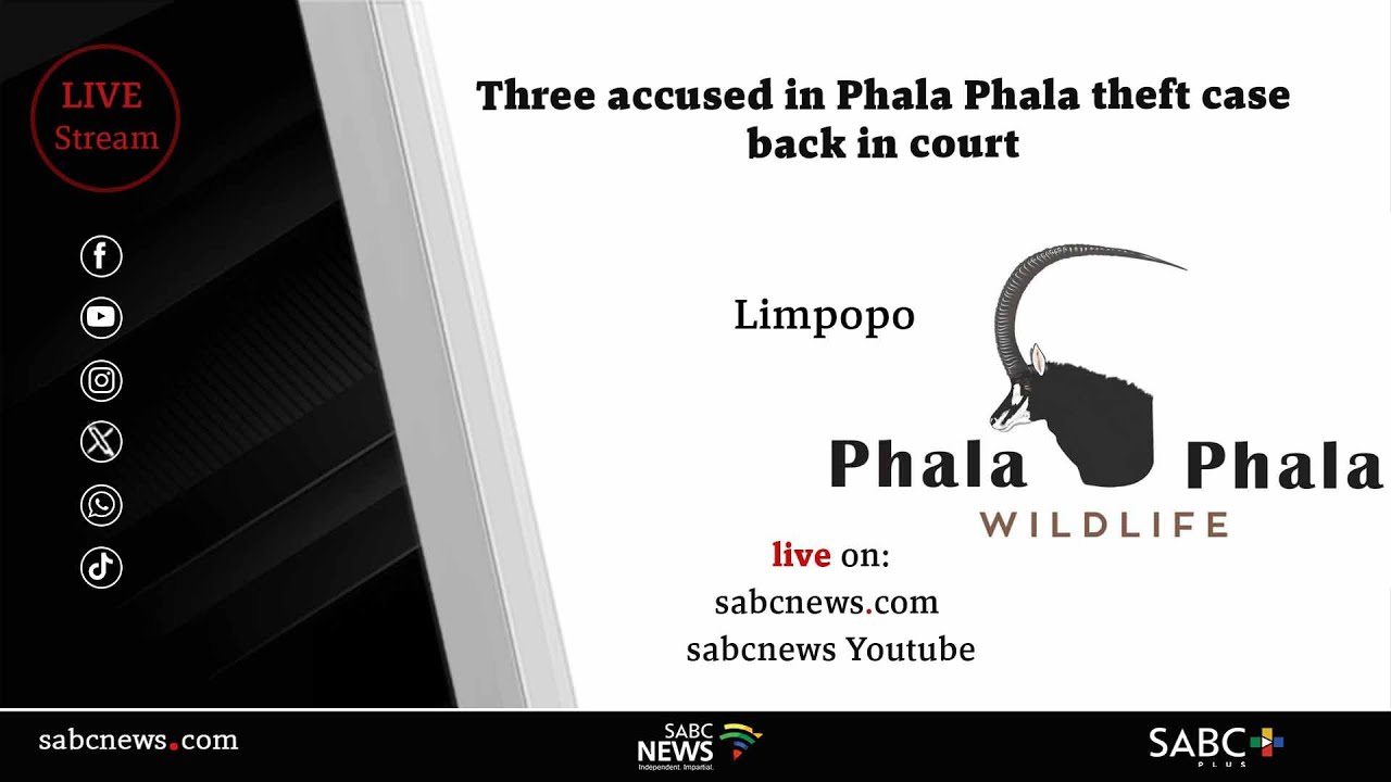 Three accused in Phala Phala theft case back in court - YouTube