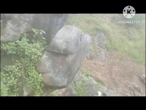 mus pab poj niam tsuas teb pob kws sab kawg li nawb - YouTube