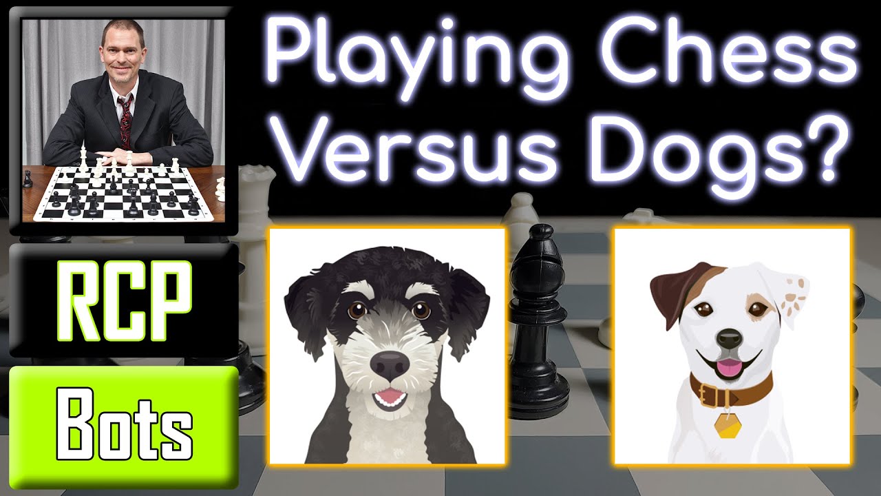Dog Bots: Wishboy and Benji - YouTube