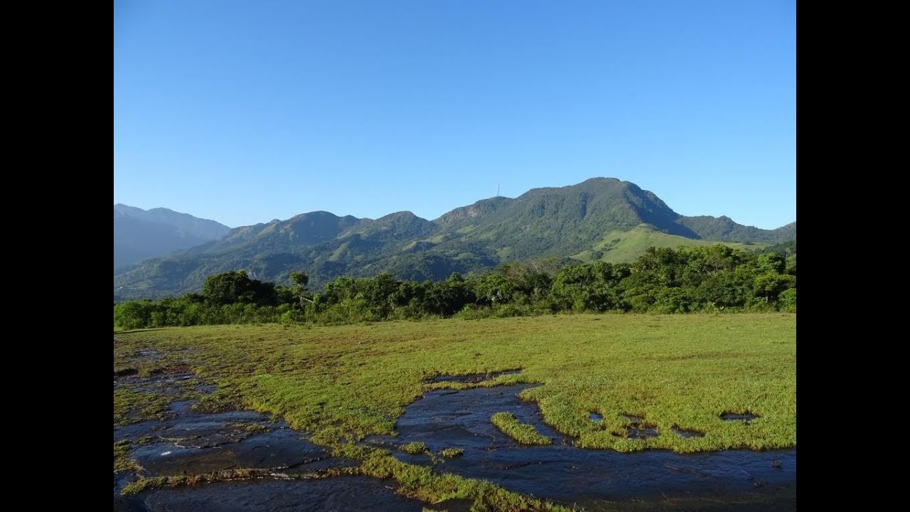 පිටවල පතන | Pitawala Pathana, Riverston (2016) - 1 of 5 - YouTube