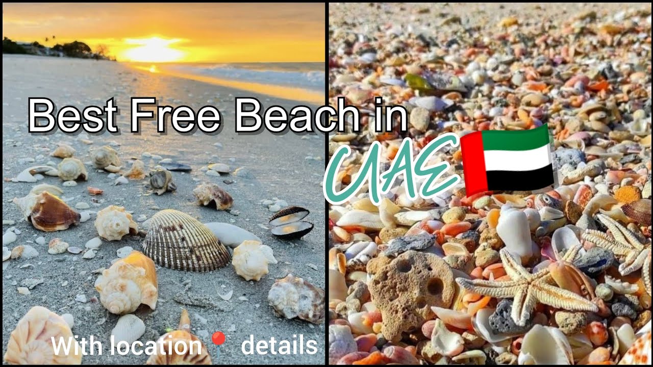 Open Beach In UAE | Sharjah | Full of Seashell🐚 - YouTube