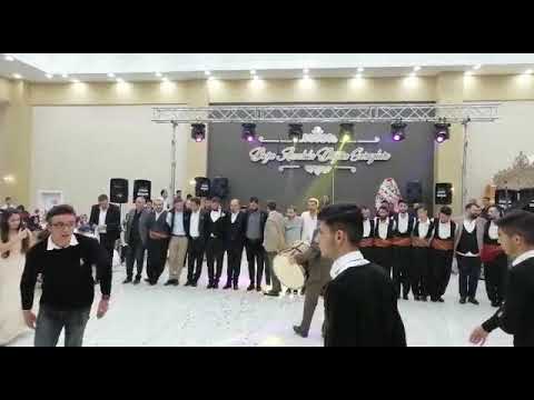 ELAZIĞ HALAYI.DİK HALAY. #elazığ #elazığhalay #dikhalay